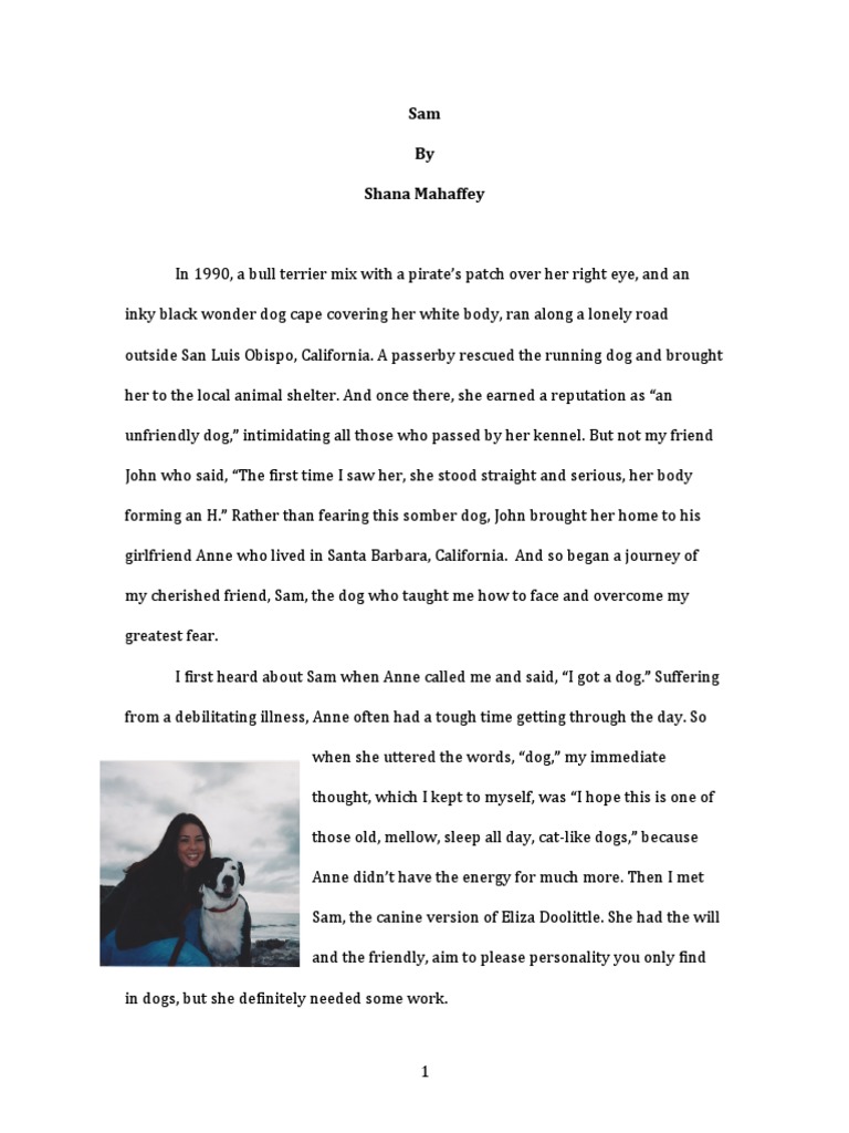 My Friend Sam | PDF | Dogs
