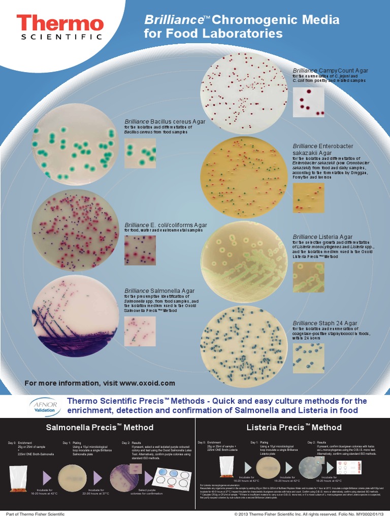 Industrial Brilliance Chromogenic Media - Final | PDF | Prokaryote ...