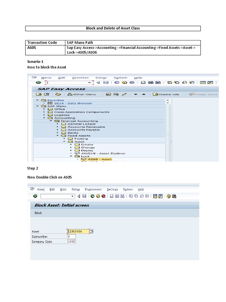 Block and Delete of Asset Class AS05 and AS06 | PDF