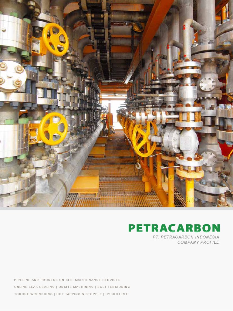 Company Profile Petracarbon | PDF | Leak | Pipe (Fluid Conveyance)