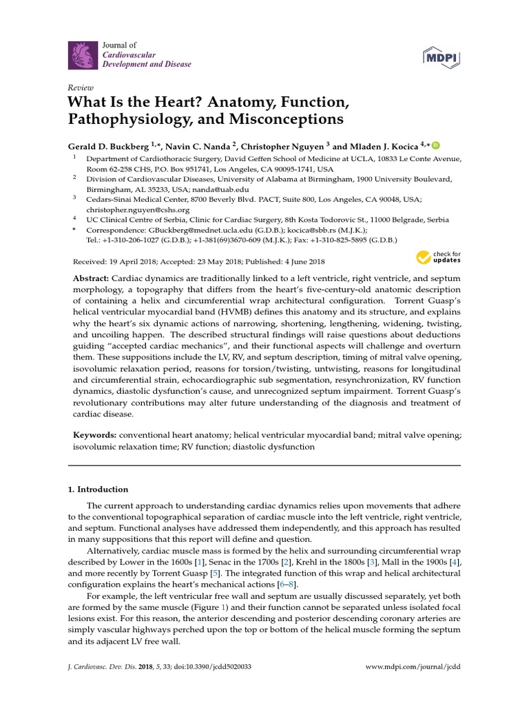 What Is The Heart? | PDF | Ventricle (Heart) | Diastole