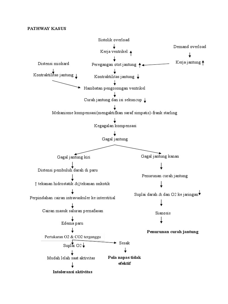 Pathway Kasus CHF | PDF