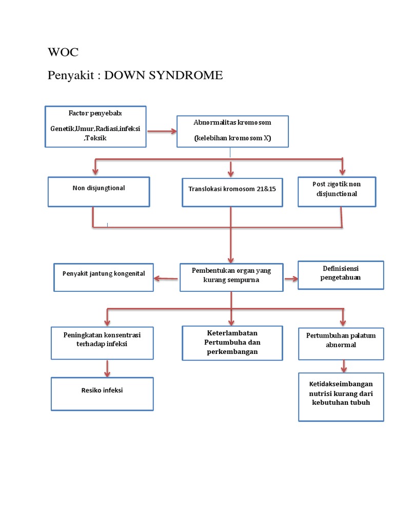 Yulia Windari Tugas Woc Down Syndrome | PDF