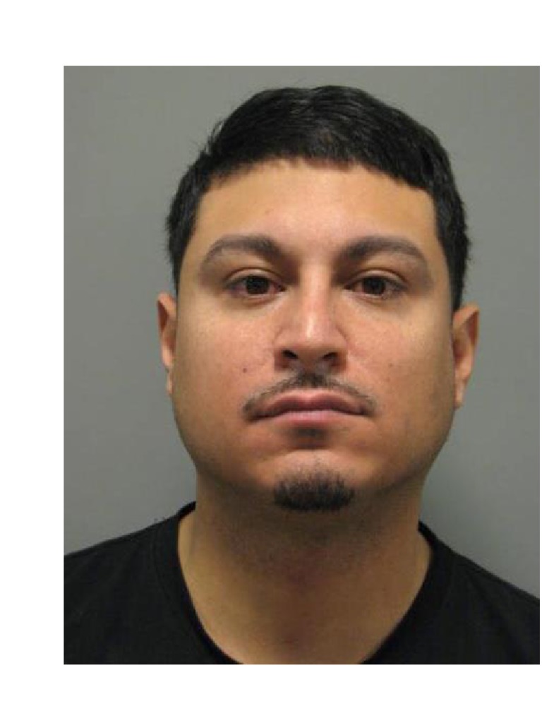 Marcos Daniel Sequeira | PDF