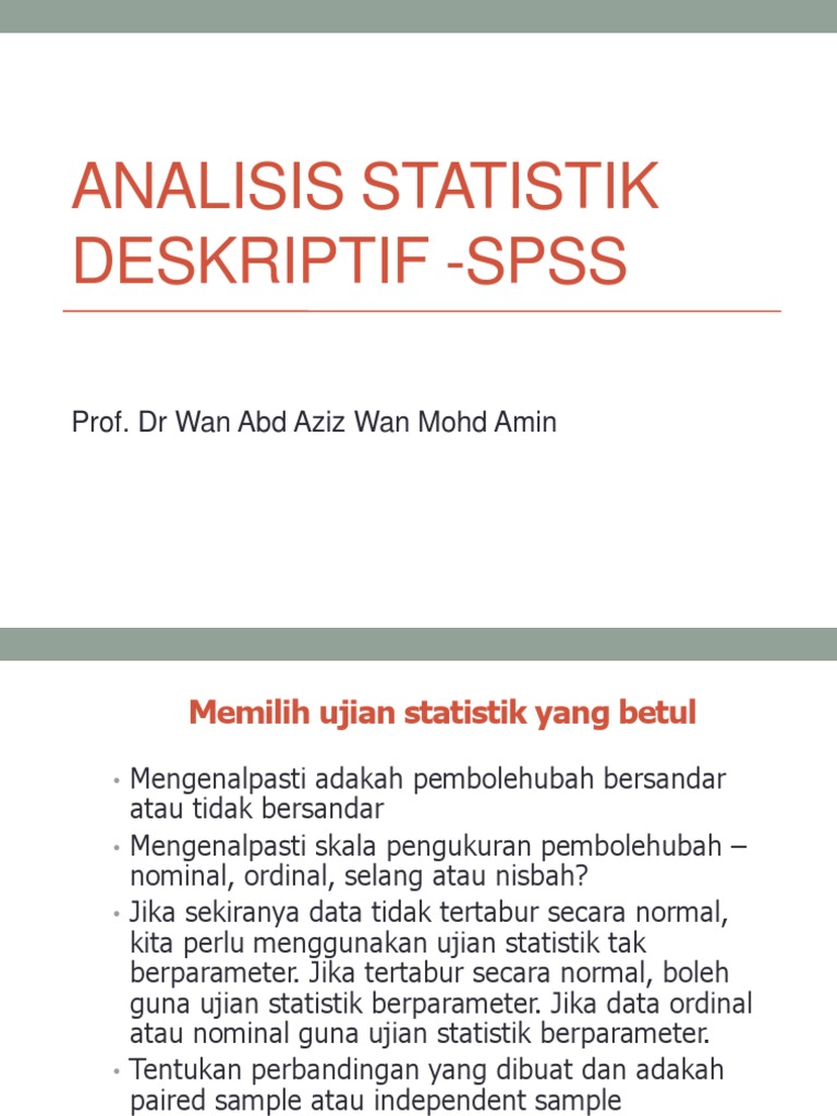 Analisis Deskriptif Spss | PDF