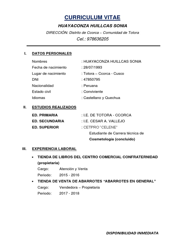Curriculum Vitae Huayaconza Huillcas Sonia | PDF