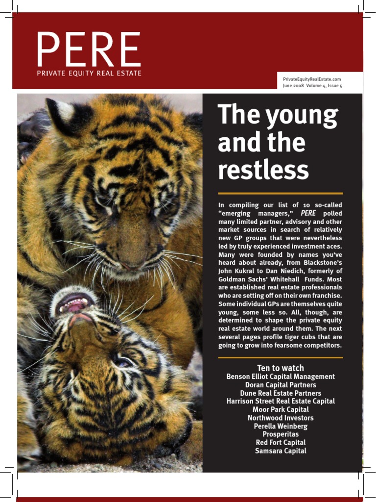 PERE Magazine Top 10 Funds | PDF | Private Equity | Financial Economics