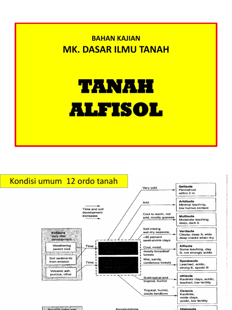Karakteristik Tanah Alfisol | PDF | Dekomposisi | Tanah