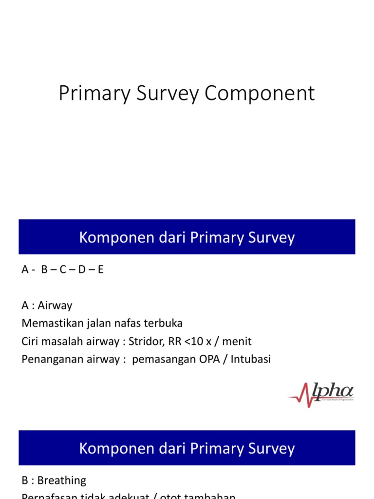 Primary Survey | PDF