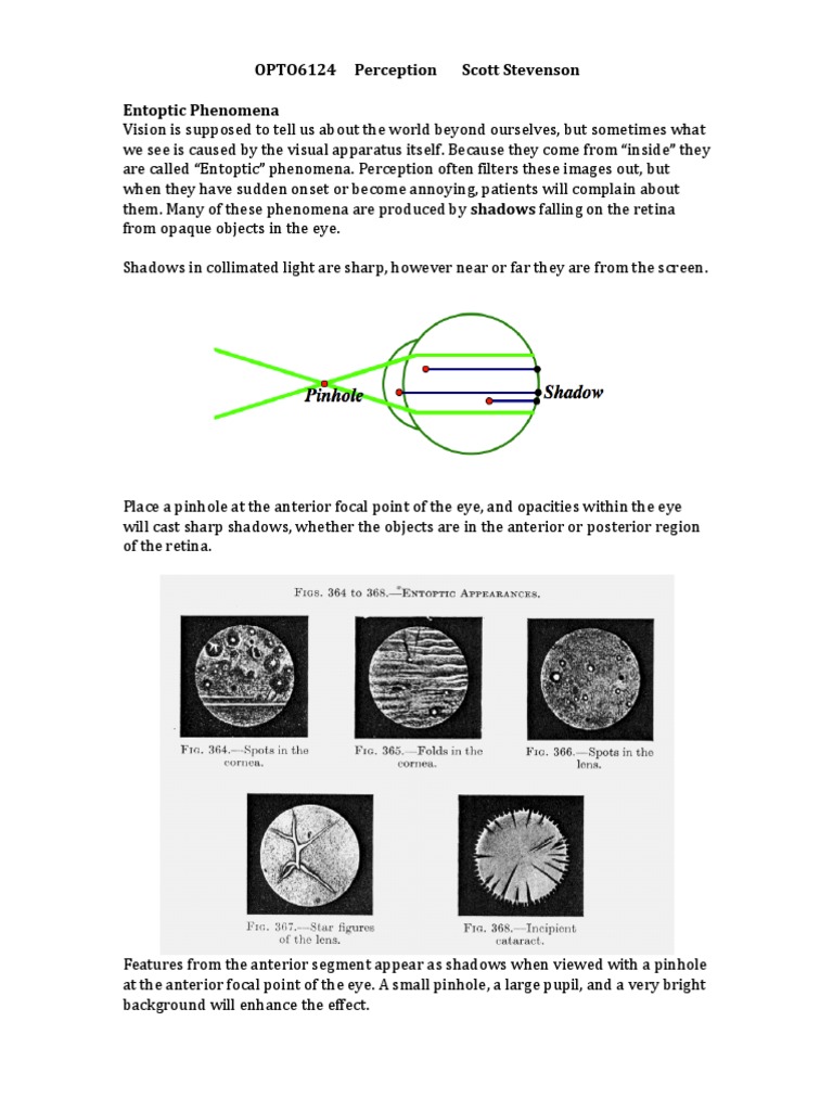 Entoptic Phenomena | PDF | Shadow | Eye