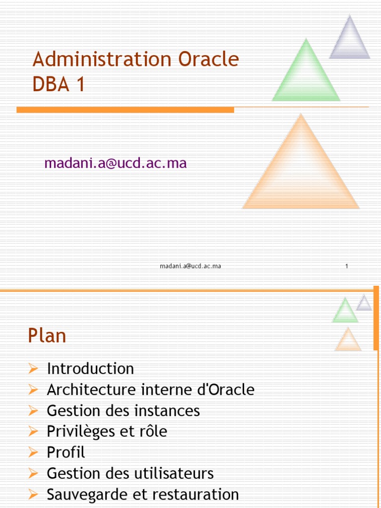 Bases | PDF | Base de données Oracle | Fichier informatique