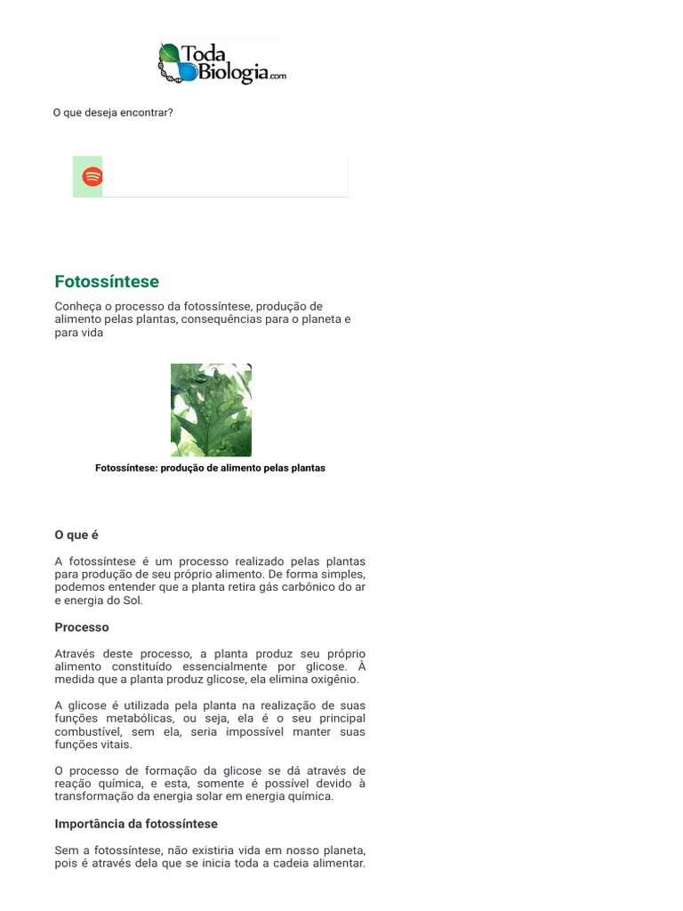 Fotossíntese - o Que É, Processo, Resumo | PDF | Fotossíntese | Plantas