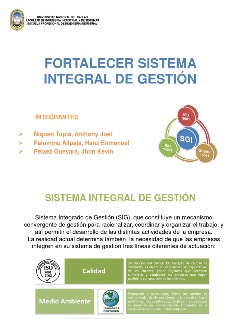Sistema Integral De Gestion Pdf