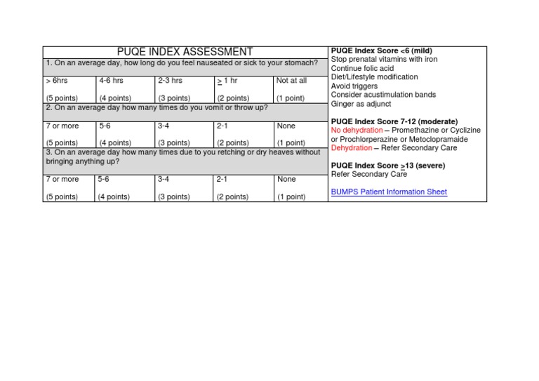 Puqe Index Assessment | PDF