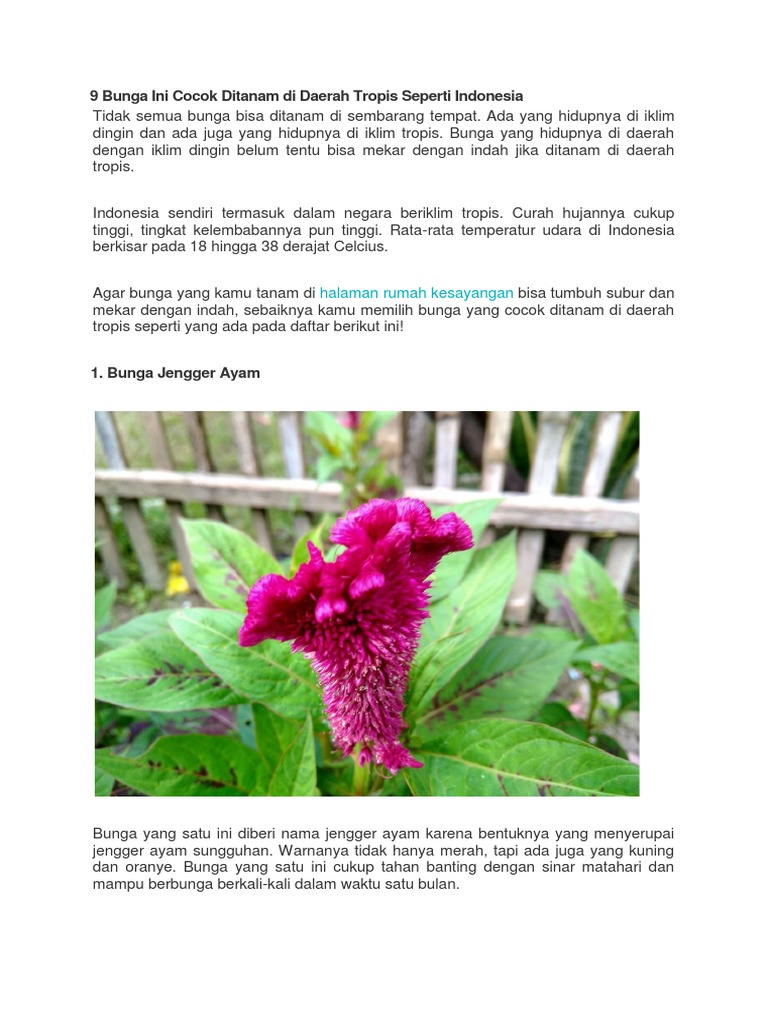 Beginilah 36+ Tanaman Bunga Untuk Daerah Tropis yang Lagi Viral ...