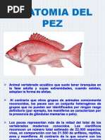 Tipos y funciones de las aletas en peces | PDF | Pescado | Vertebrados ...