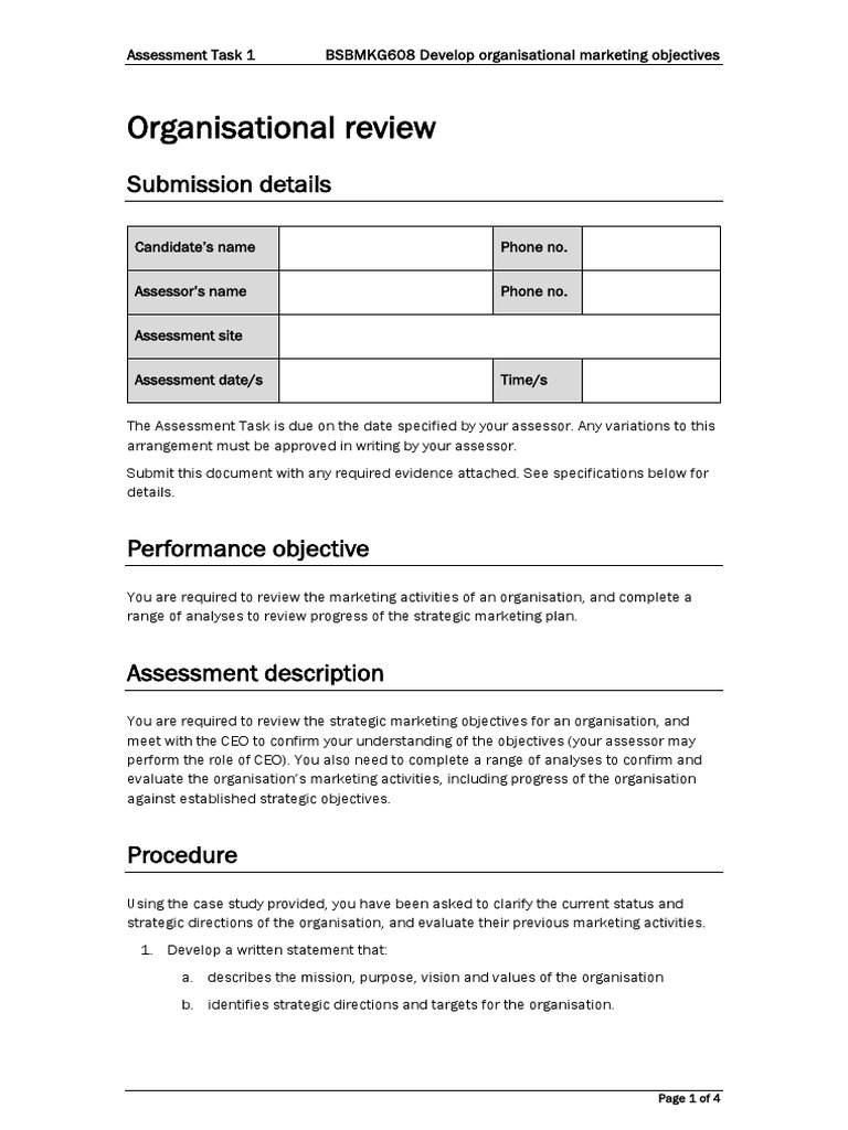 BSBMKG608 - Assessment Task 1 | Download Free PDF | Marketing Strategy ...