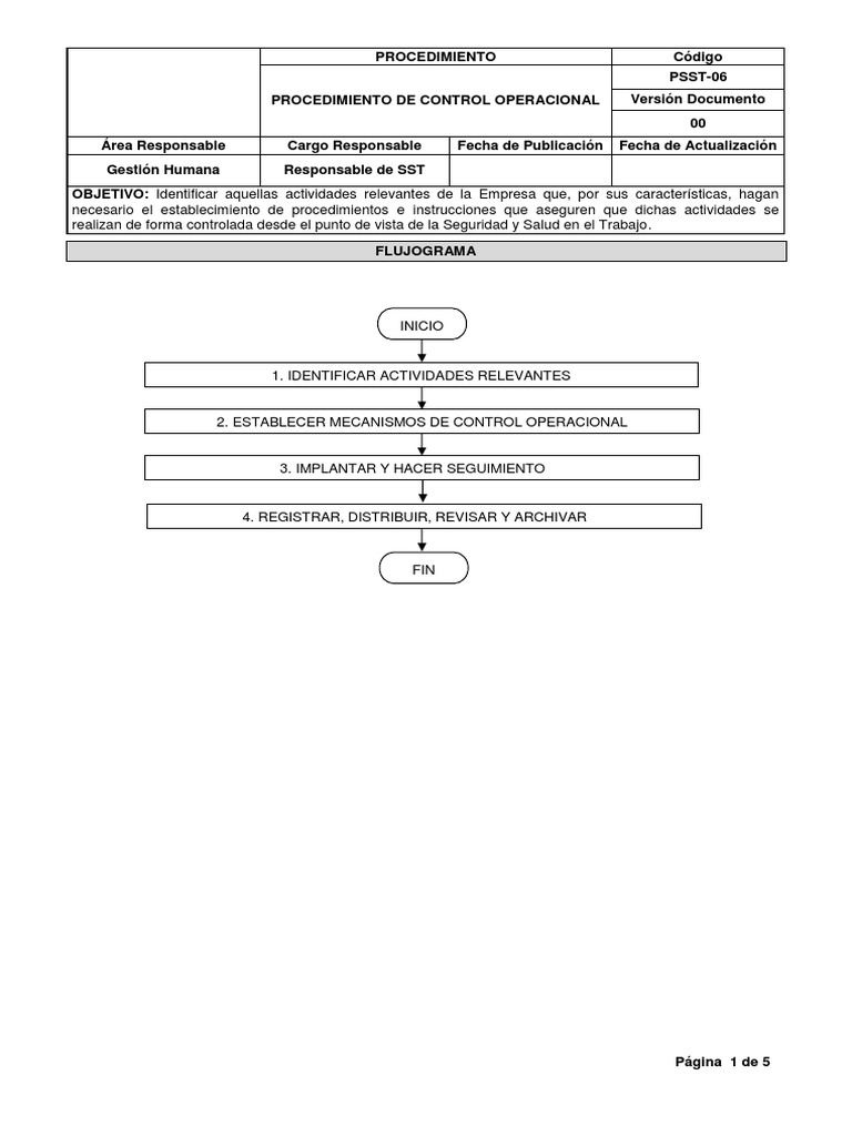 Procedimiento Control Operacional | PDF | Planificación | Informática