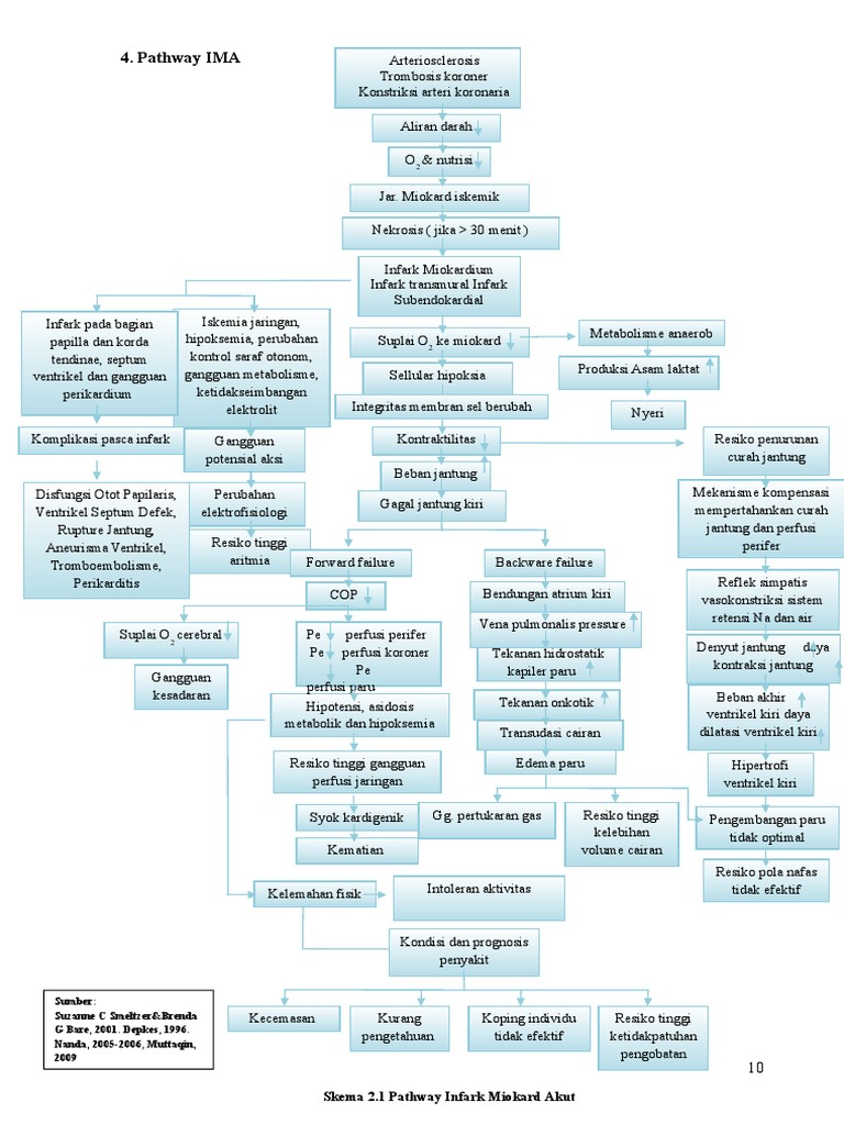 Print Pathway IMA | PDF