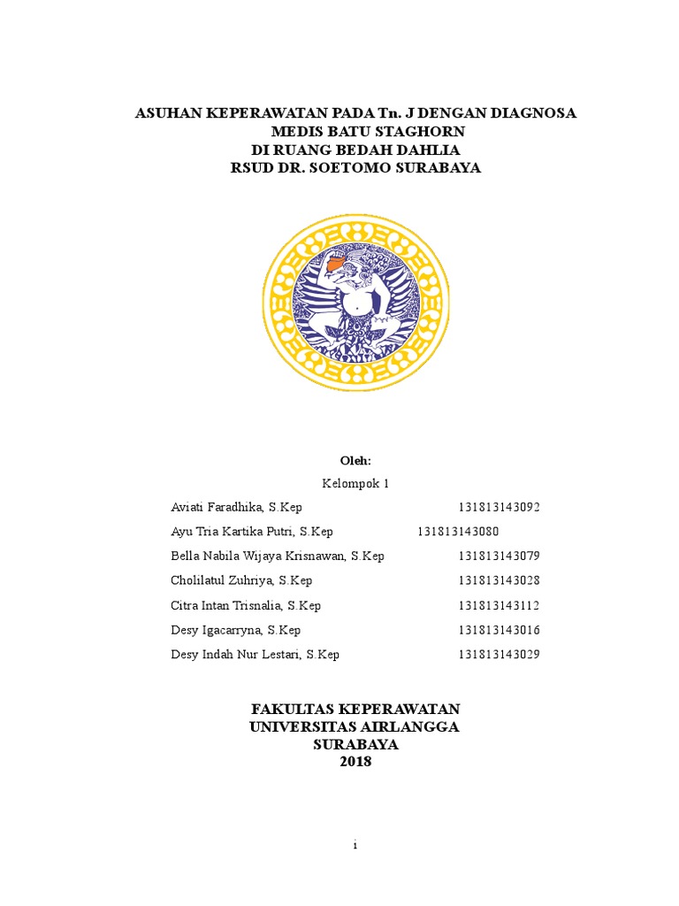 Asuhan Keperawatan Batu Staghorn | PDF | Kesehatan Holistik | Sains ...