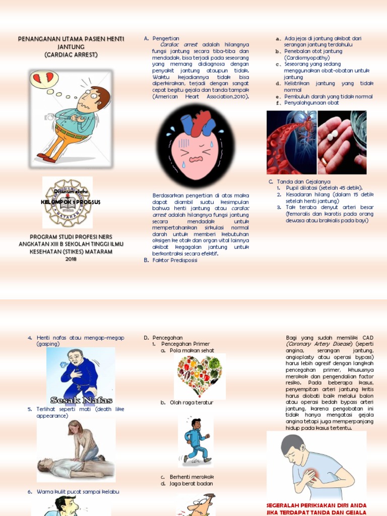 Leaflet Cardiac Arrest | PDF
