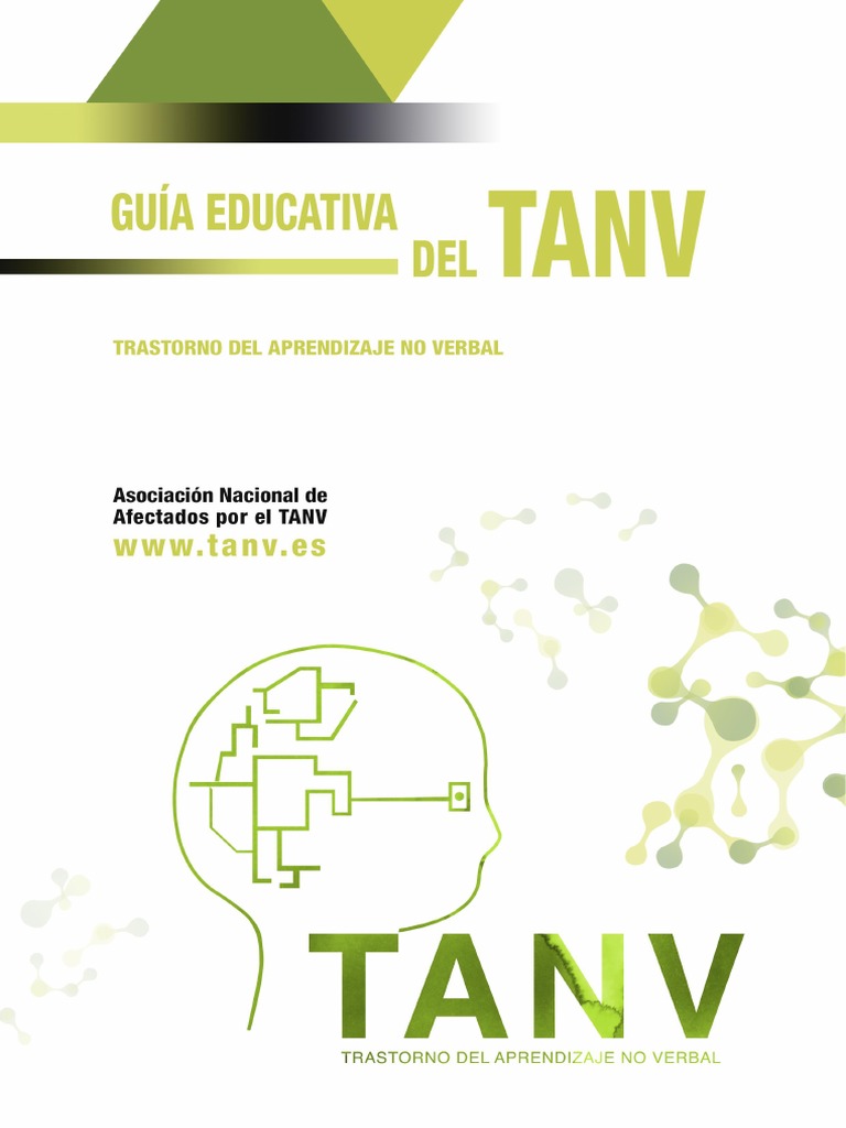 Guía Educativa Trastorno de Aprendizaje No Verbal TANV | PDF | Educación primaria | Aprendizaje