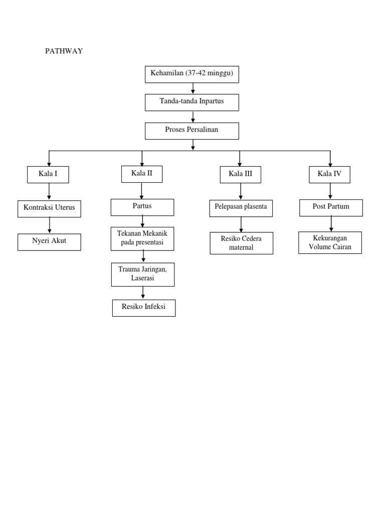 Pathway Apn | PDF