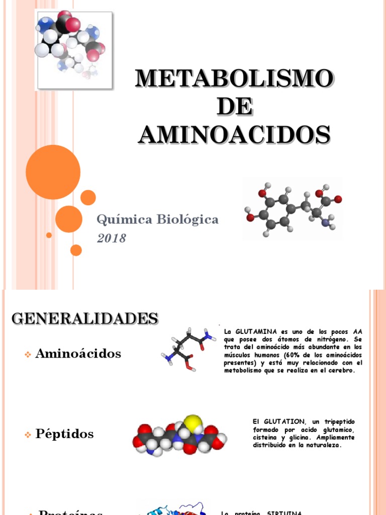 Teoría Aminoácidos 2018.pdf | Transaminasa | Aminoácidos