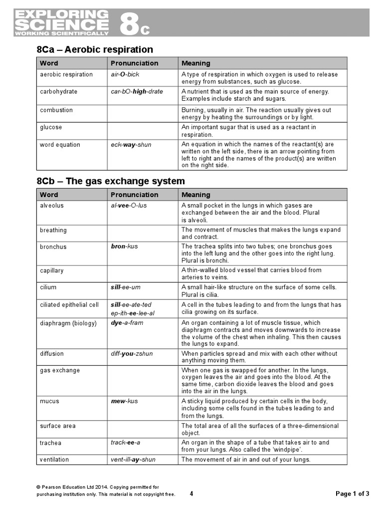 8ca - Aerobic Respiration: Word Sheets | PDF | Lung | Respiratory System