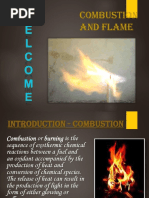 CBSE Class 8 Science: Combustion & Flames | PDF | Combustion | Fires