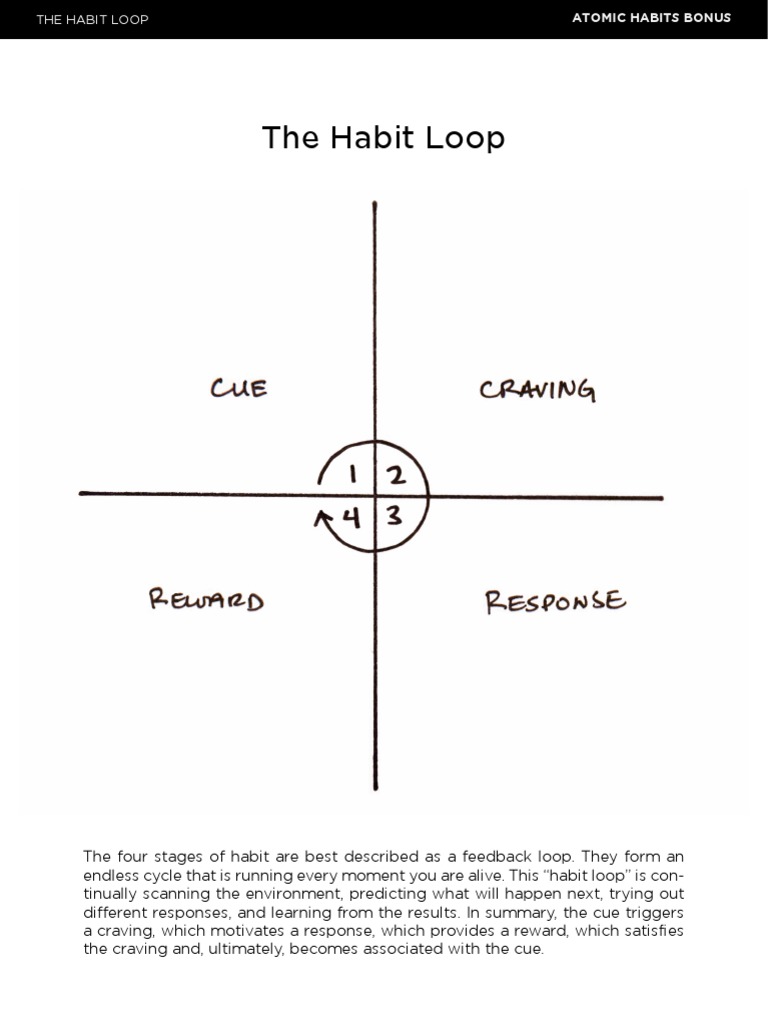 The Habit Loop PDF | PDF