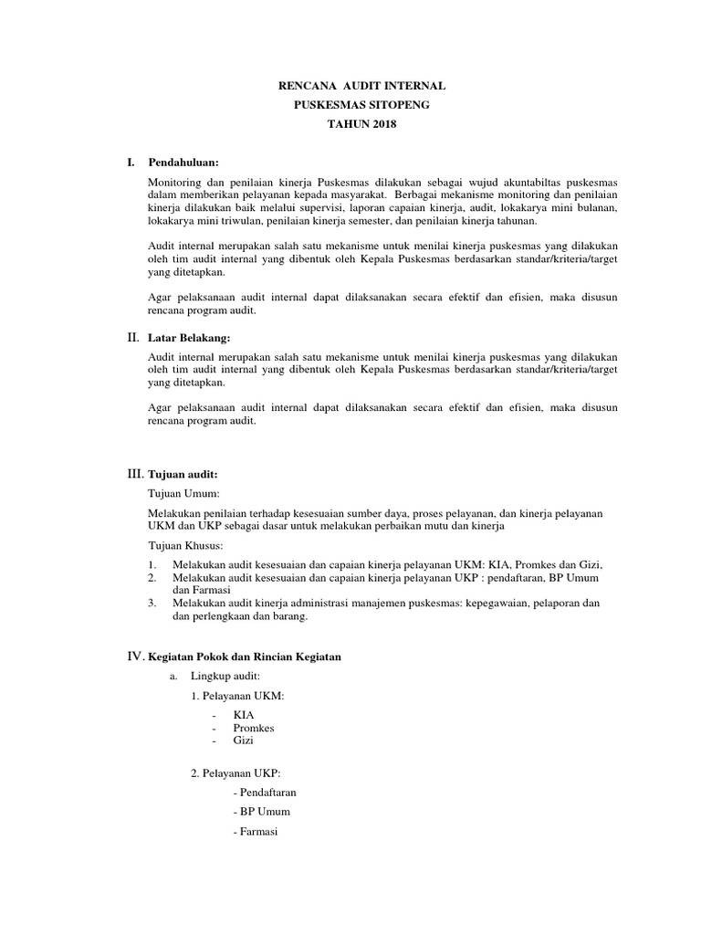 Contoh Audit Plan | PDF