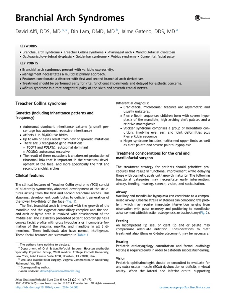 Branchial Arch Syndromes Guide | PDF | Human Anatomy | Medical Specialties