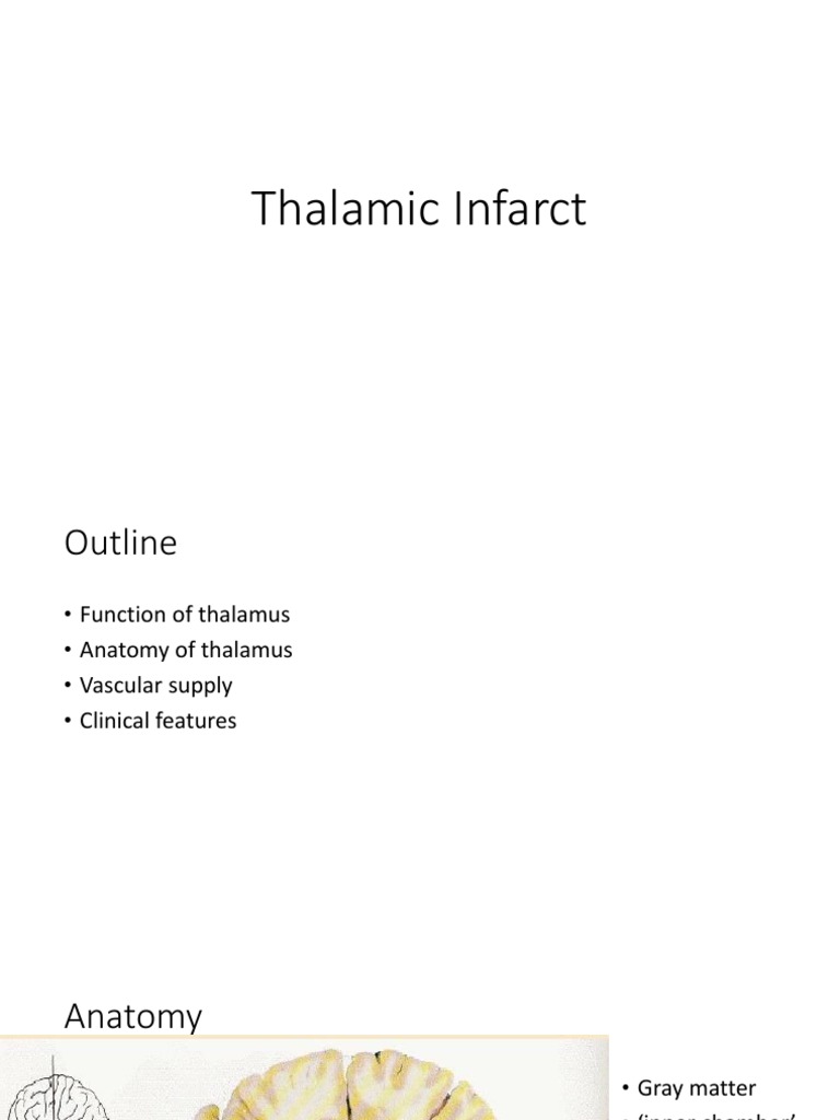 Thalamic Infarct: Clinical Features and Types | PDF | Thalamus ...