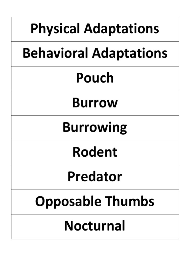 Adaptations of Mammals and Marsupials | PDF