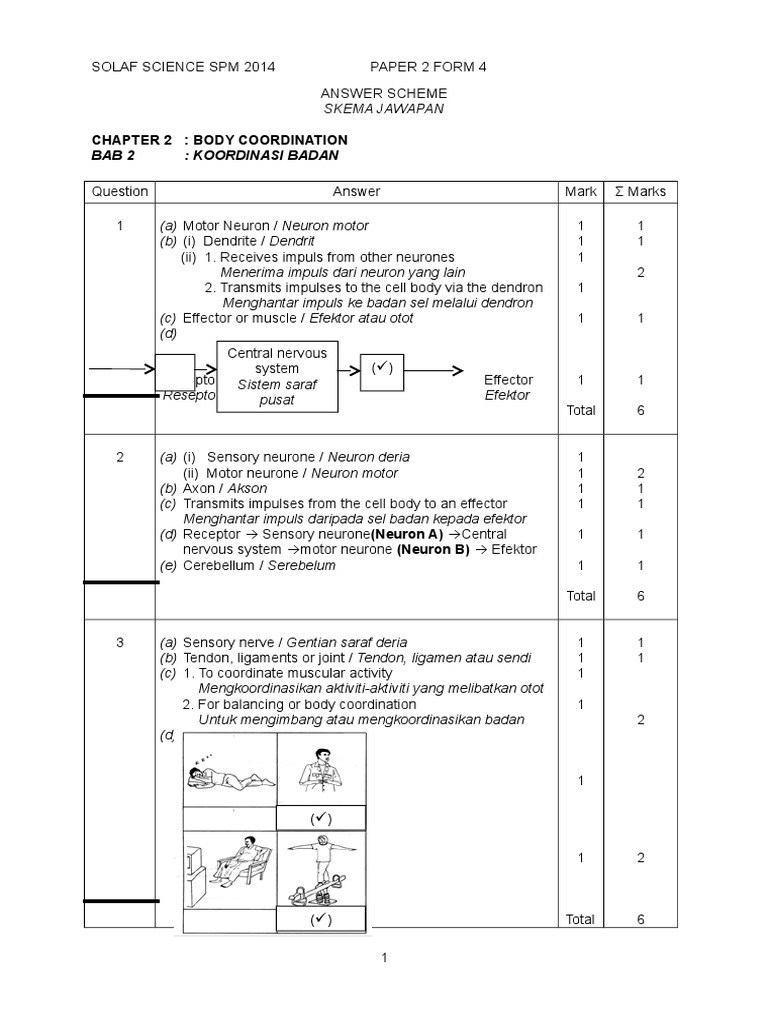 Chapter 2 Paper 2 Answer Scheme | PDF