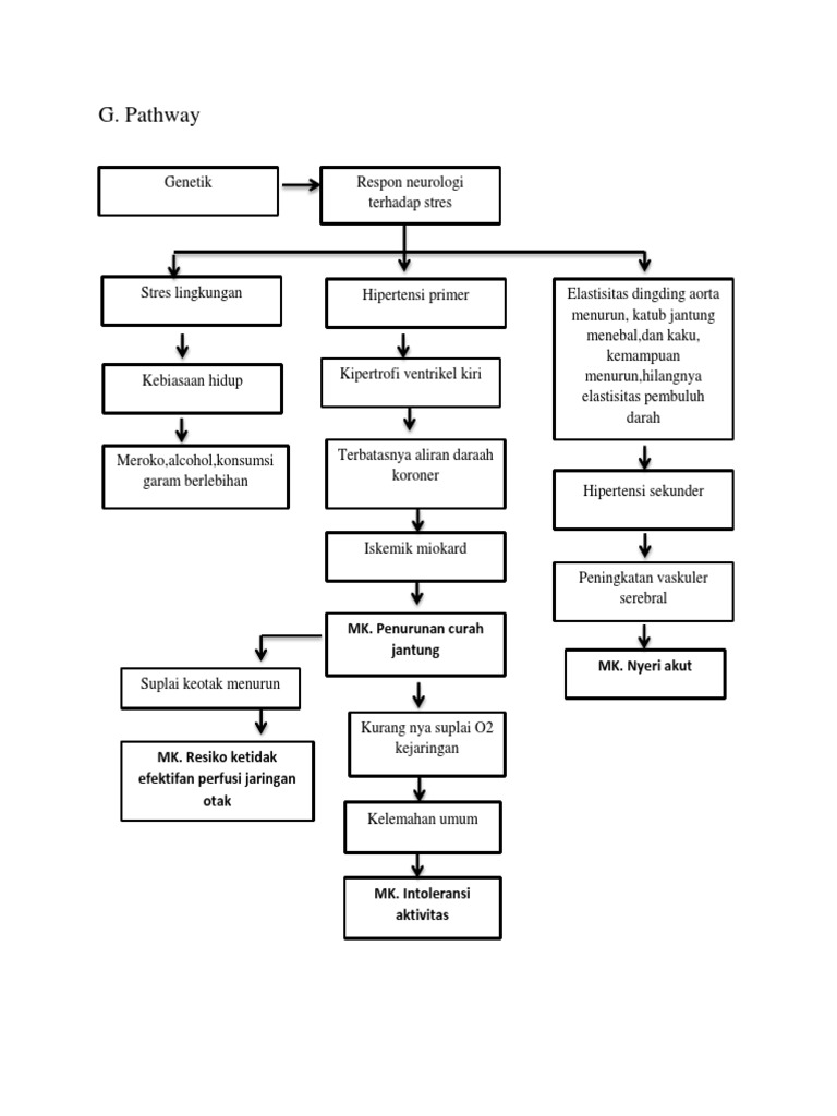 Pathway Hipertensi dan Dampaknya | PDF