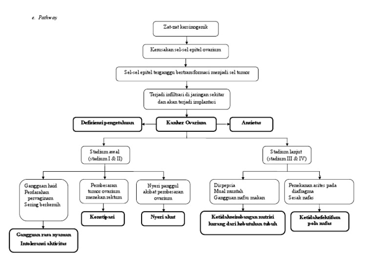 Pathway CA Ovarium (Repaired) | PDF