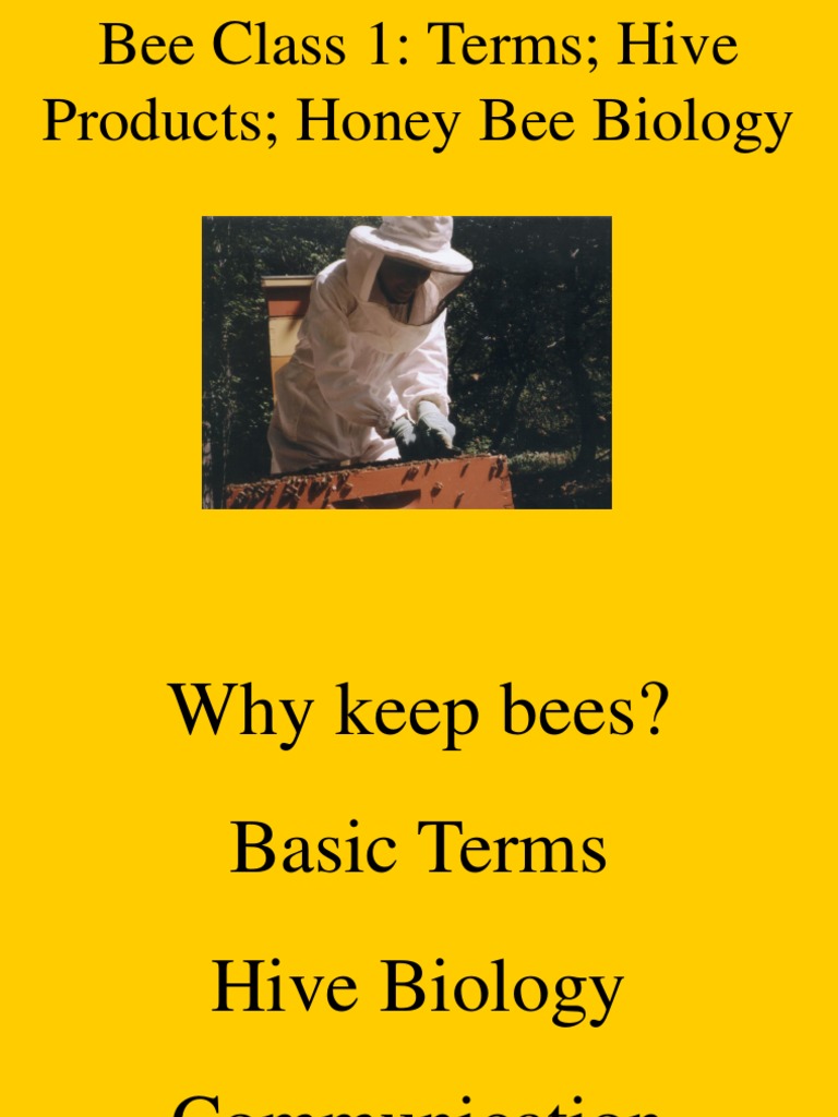 Bee Class 1: Terms Hive Products Honey Bee Biology | PDF