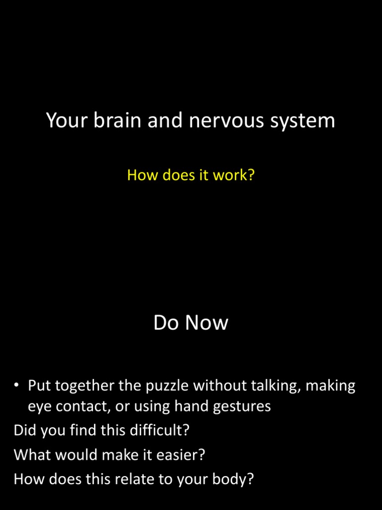 Lesson 1 The Nervous System | PDF | Neuron | Axon