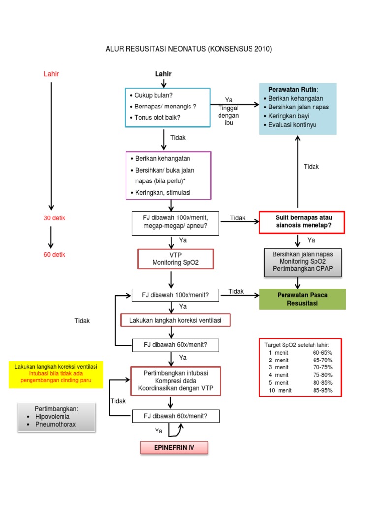 Alur Resusitasi Neonatus 2010 | PDF