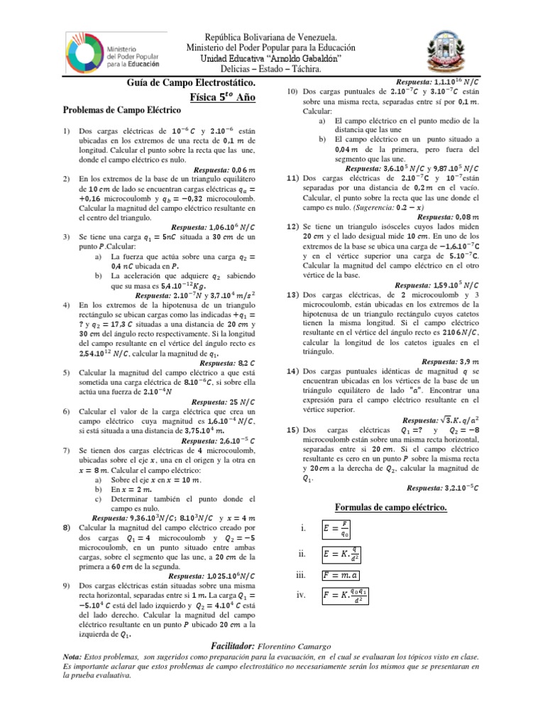 Guía de Campo Electico | PDF | Triángulo | Geometría Elemental