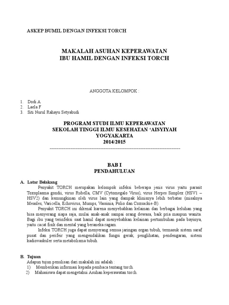 Askep Bumil Dengan Infeksi Torch | PDF