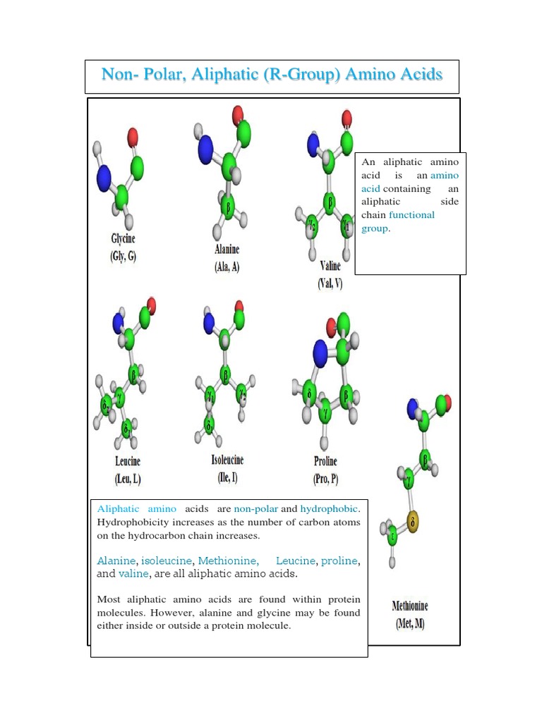Non-Polar, Aliphatic (R-Group) Amino Acids | PDF