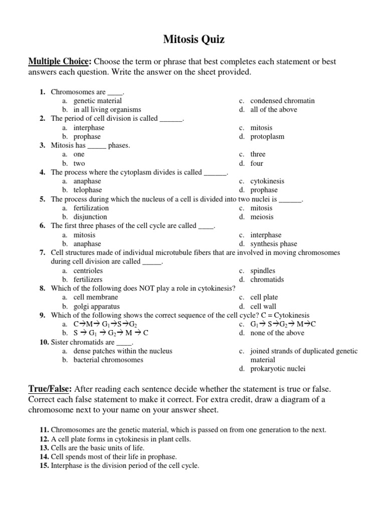 Mitosis Quiz: Answers Each Question. Write The Answer On The Sheet ...