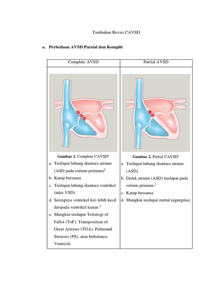 Tambahan Revisi CAVSD | PDF