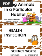 Detailed-lesson-Plan - Animal Habitat | PDF | Lesson Plan