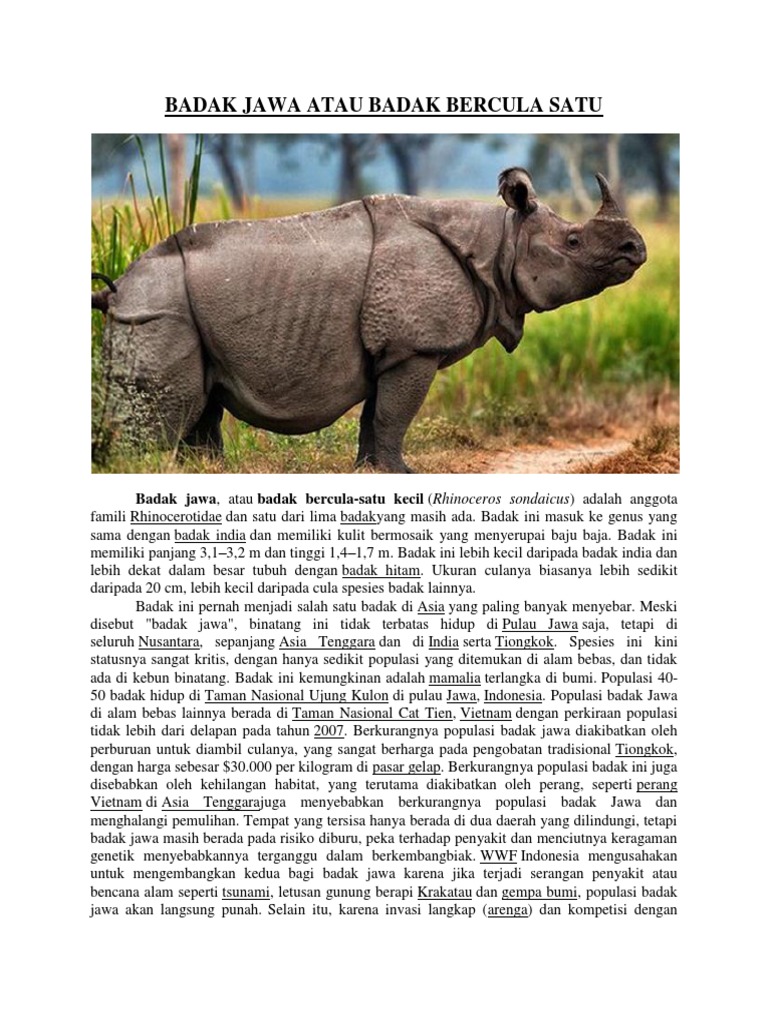 Badak Bercula Satu