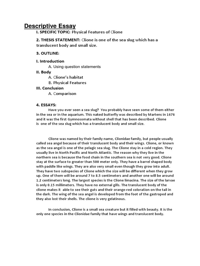 Descriptive Essay | PDF | Sea | Organisms