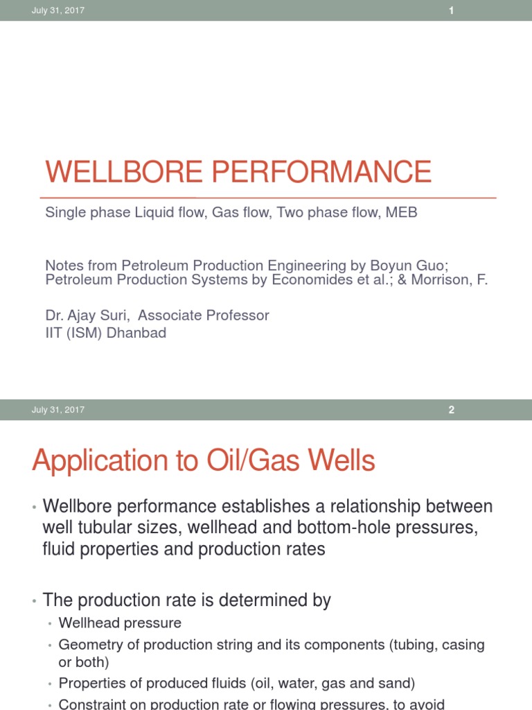 MEB and Wellbore Performance | PDF | Fluid Dynamics | Flow Measurement